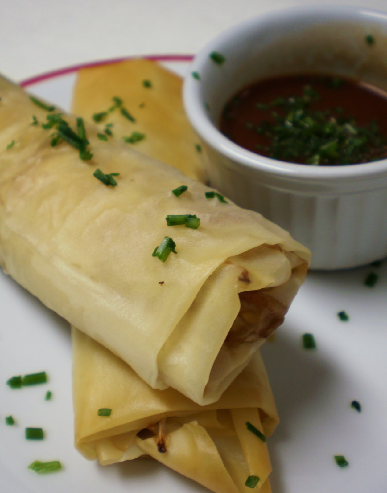 Softs e Receitas: Rolinhos Primavera Vegetarianos Assados