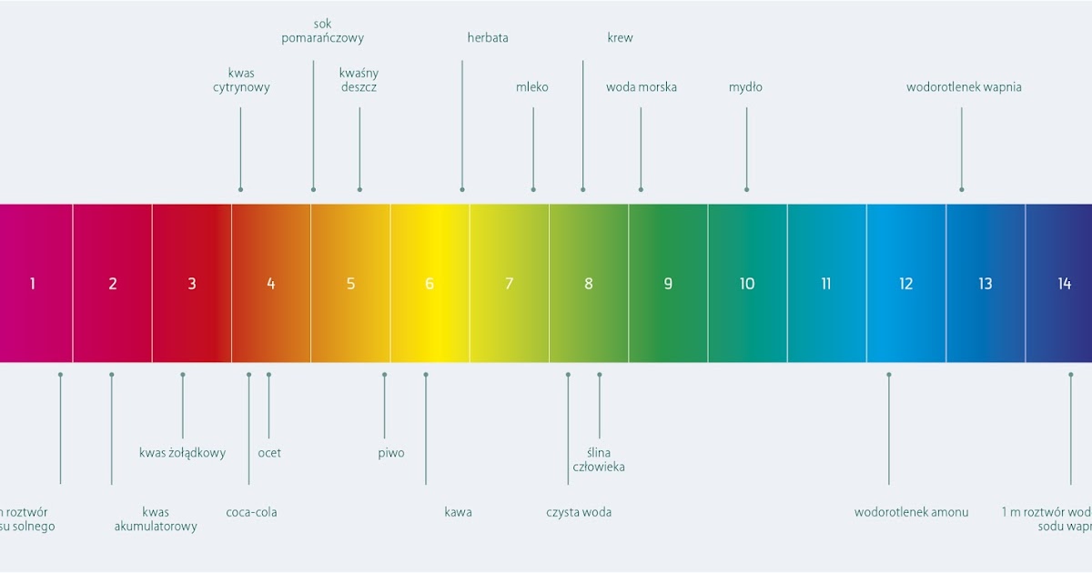 Laporan Praktikum Kimia Dasar-SKALA pH DAN PENGGUNAAN INDIKATOR ...