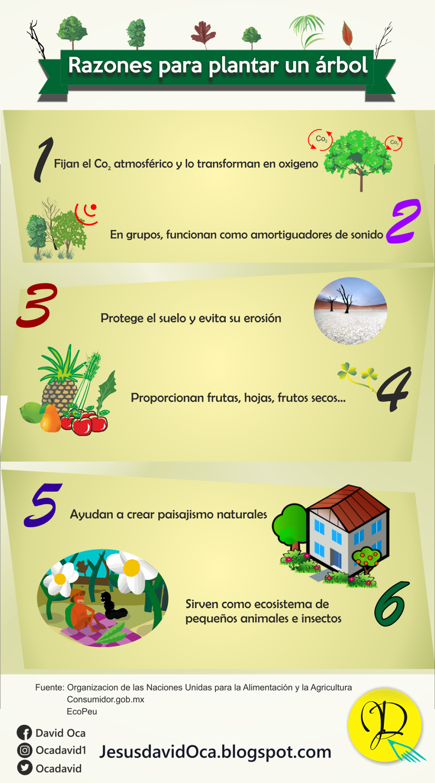 6 Razones contundentes para sembrar un árbol + Infografía - Jesus David Oca