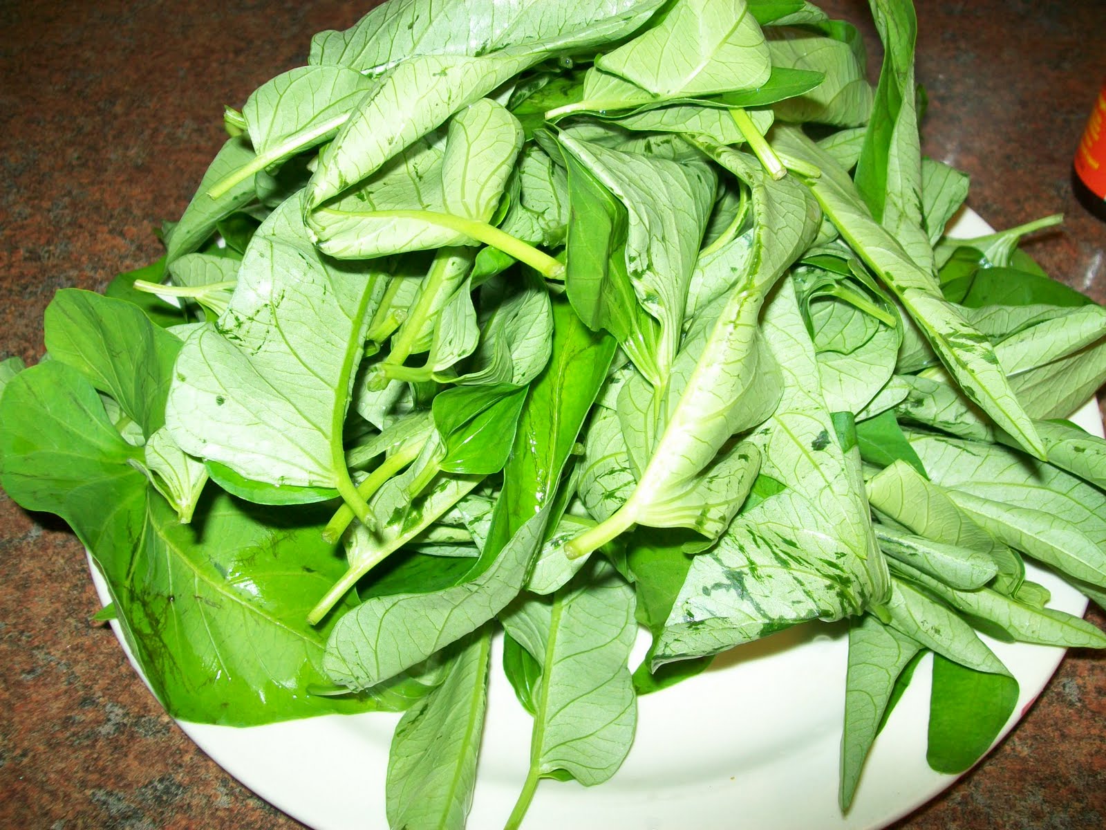 kangkong in english - philippin news collections