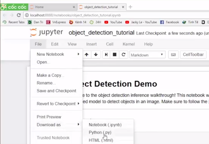 Install Tensorflow Api And Example For Object Detection