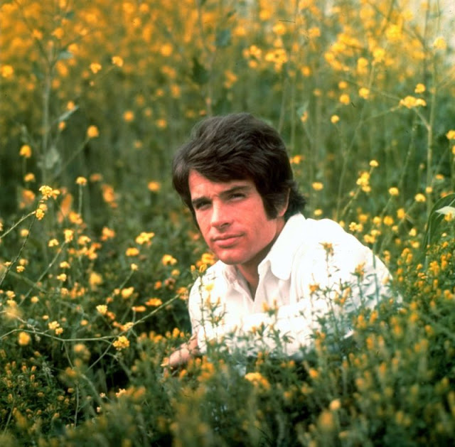 33 Gorgeous Photos of Warren Beatty in the 1950s and 1960s ~ Vintage ...