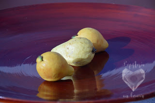 CONSERVA DE GUAYABA CON TMX | Repostería con emoción