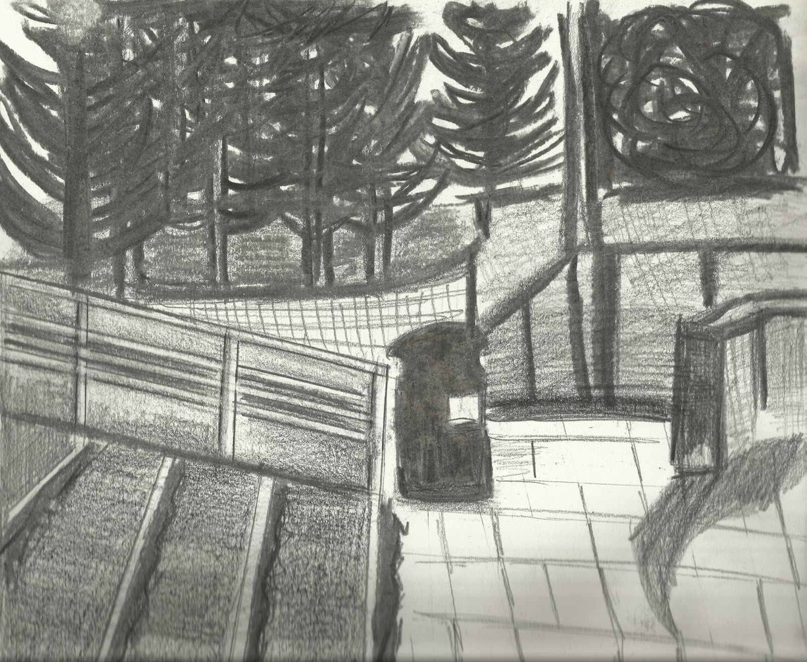 My Observational Drawings