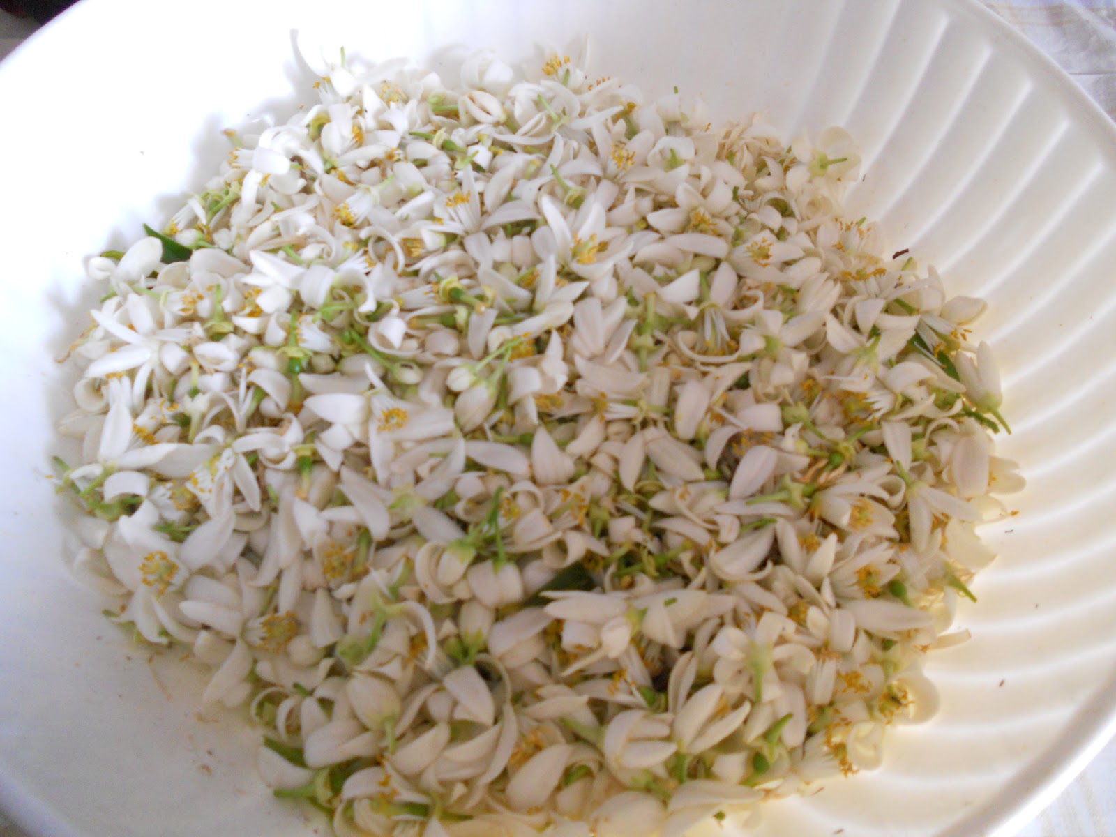 la cucina di Rosaria: liquore di zagara