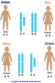The Jewish Jesus Blog: DNA and Jesus