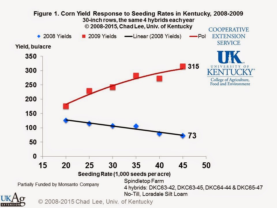 Grain Crops Update: Corn Seeding Rates in Kentucky