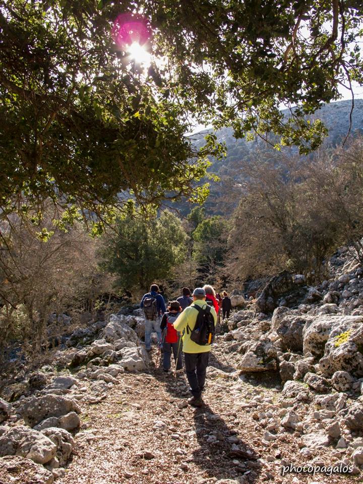 EXPLORE MOUNTAINS: ΣΤΟ ΚΑΛΝΤΕΡΙΜΙ : ΟΡΟΠΕΔΙΟ ΚΑΘΑΡΟΥ-ΚΡΙΤΣΑ