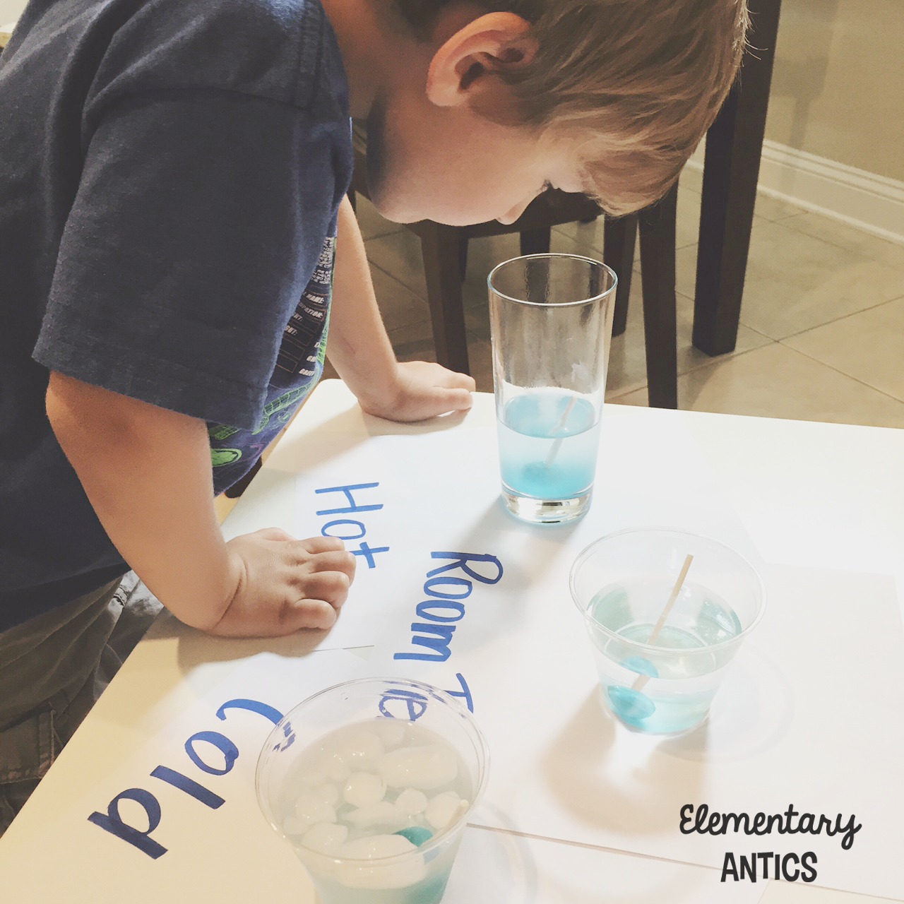 Simple Summer Science: Fun with Lollipops! - Elementary Antics