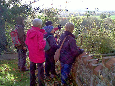 Devizes Days in Words and Pictures 2015: Out Walking in the Sunshine in ...