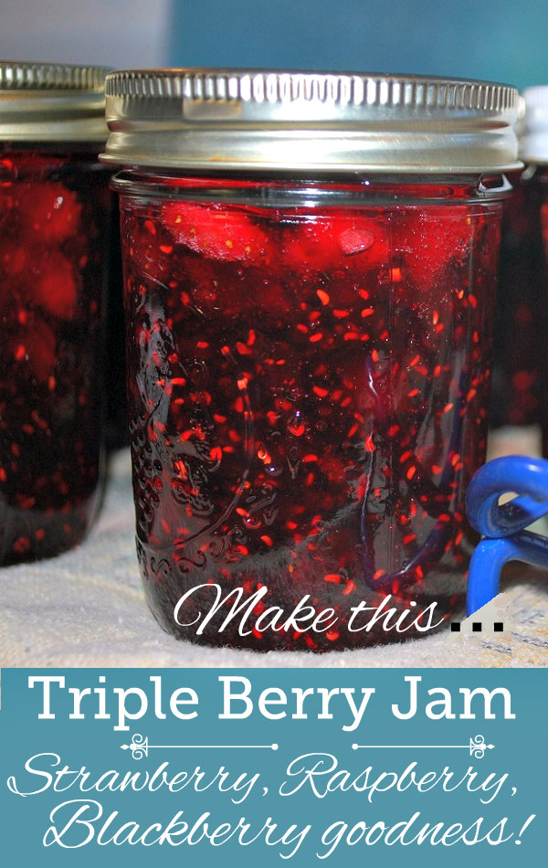 Triple Berry Jam - Oak Hill Homestead