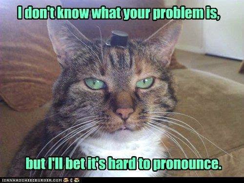 Cats Rule: The "Gifts" of Christmas From Your Cat--Entertainment