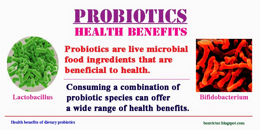 bonvictor.blogspot.com: Health benefits of dietary probiotics