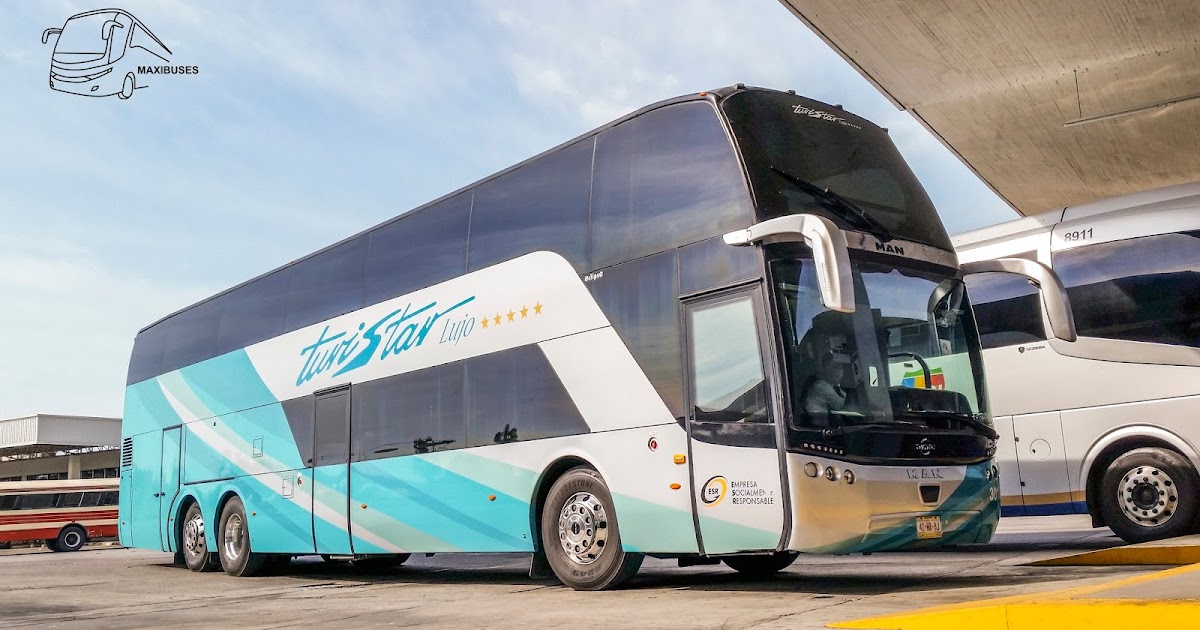 MAXIBUSES: TURISTAR LUJO