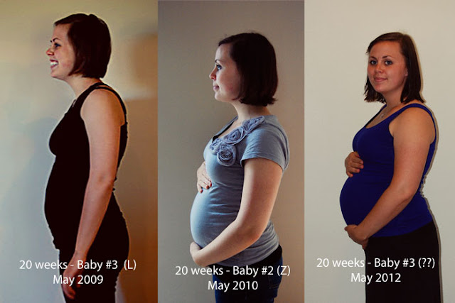 20 weeks // Baby #3 - Max & Kaylee