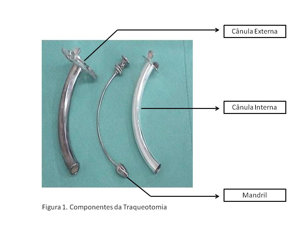 Diário Clínico de Enfermagem: Cuidados das Traqueotomias: Sessão de ...