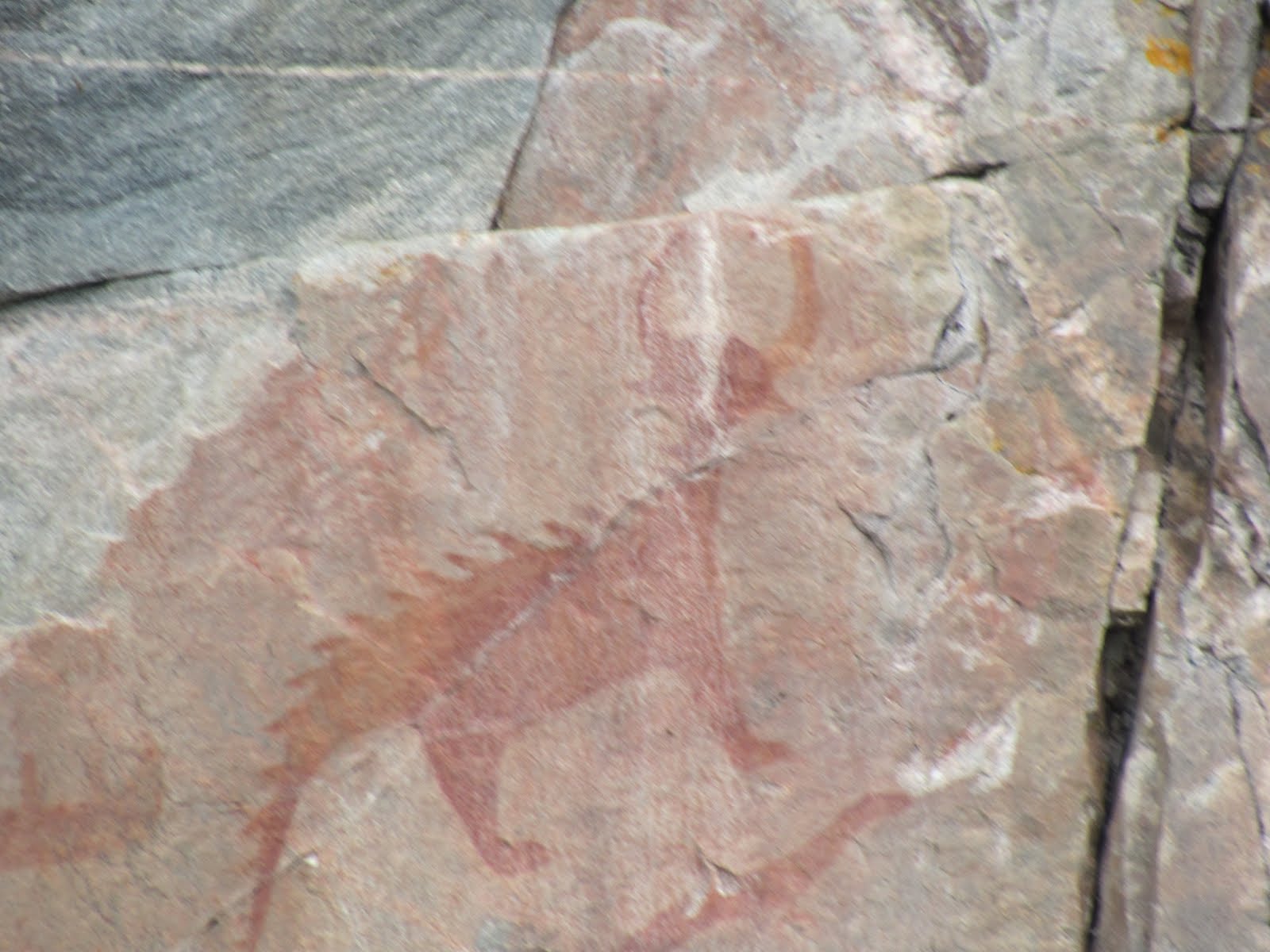 Cruising on M/V Monarch