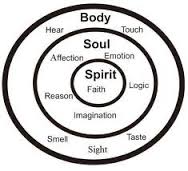 Spirit 135 - Spiritual Tubuh Jiwa Dan Roh Manusia