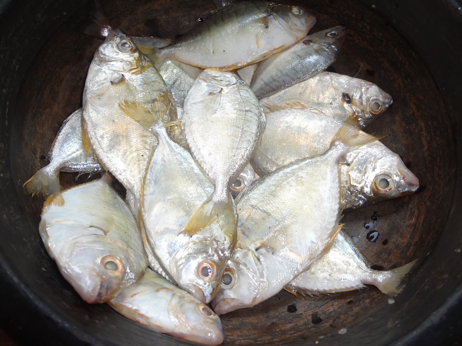 Suma's Recipes: Mullan peera