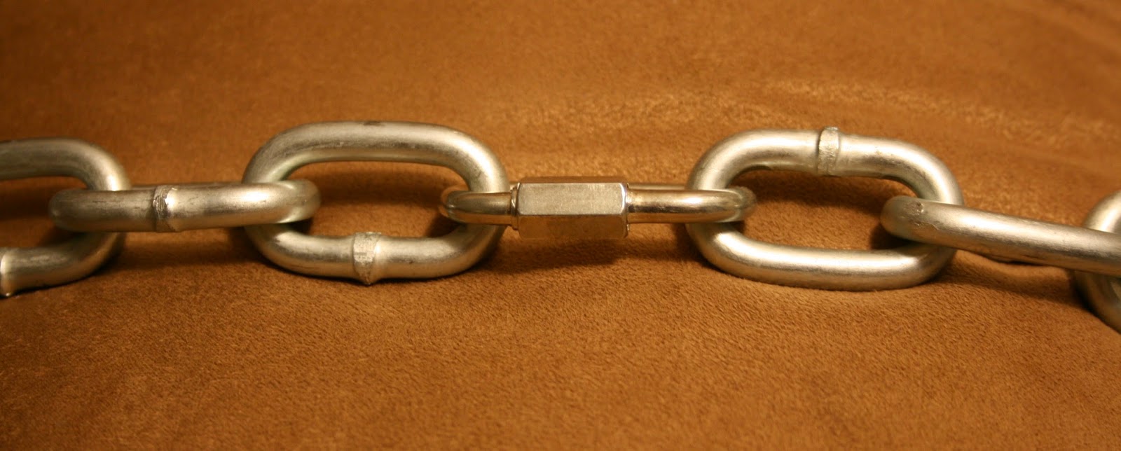 Revealing Roots and Branches: Linking Generations