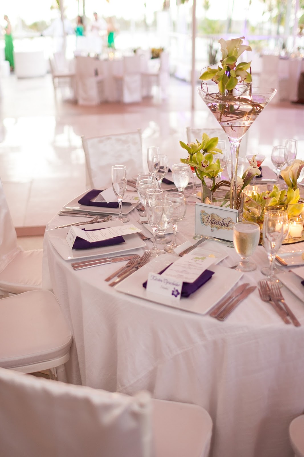 Momentus Special Events and More: Sara & Joe Honaker