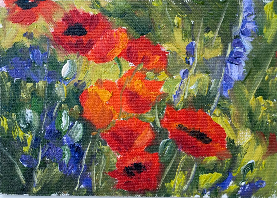 Kit Hevron Mahoney Fine Art: KMD2627 Visual Delights (poppies, garden ...