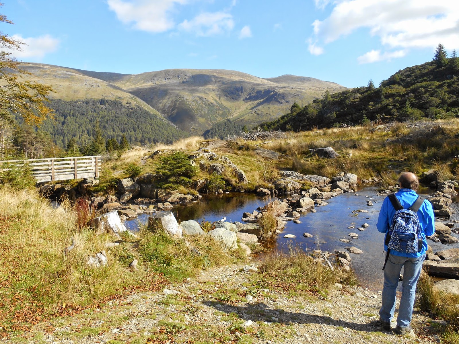 Nature Notes and Observations: Harrop Tarn and Thirlmere