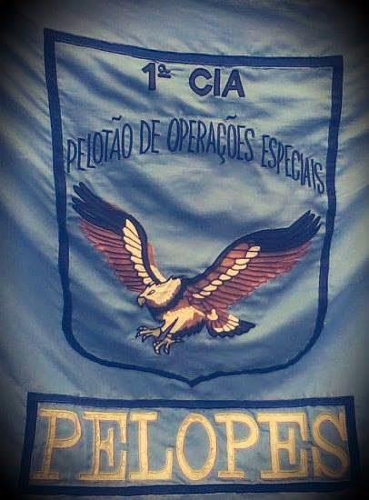 Rainha Dos Céus: Historia da 1°Cia PELOPES