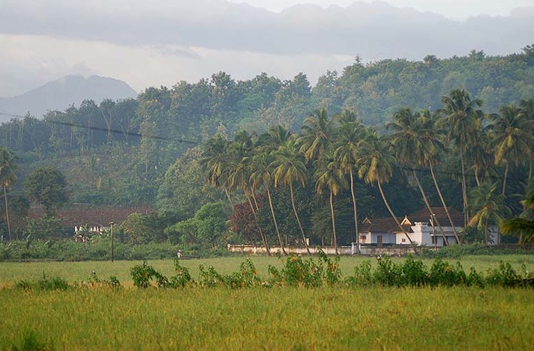 Tamilnadu Tourism: Nemmara, Nelliyampathy