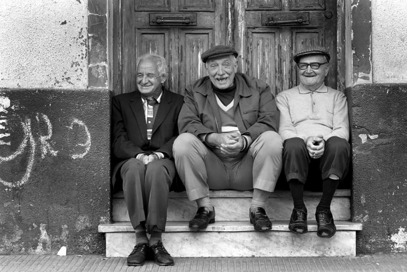 My derpy golden and his derpy friends. : r/aww