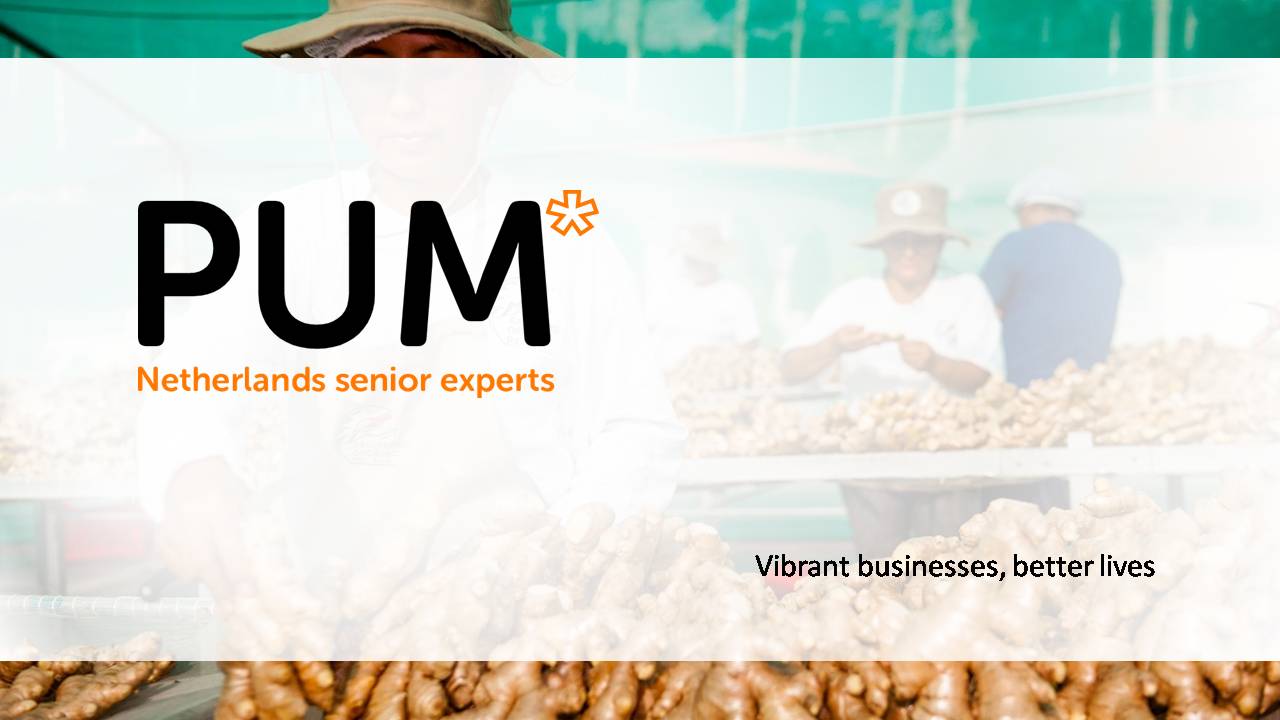 Netherlands Senior Expert (PUM) Siap Membantu Assistensi Bisnis UKM