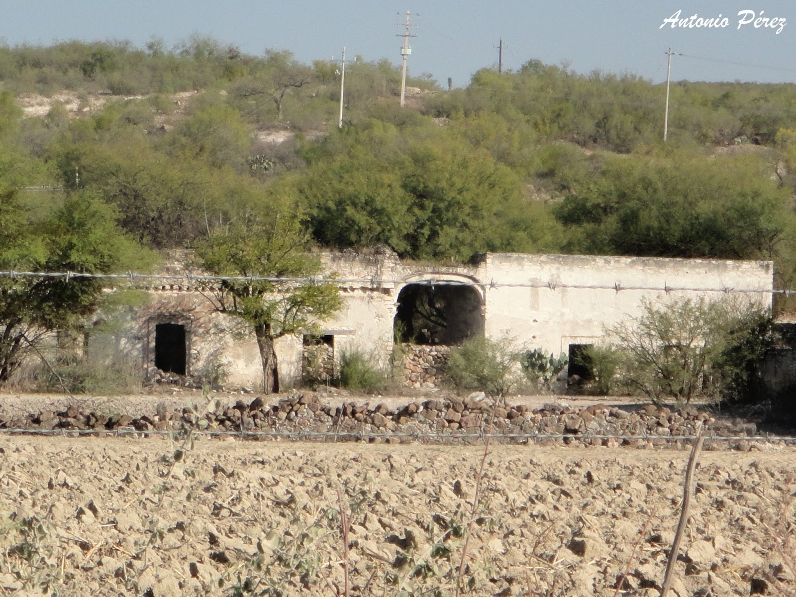 Cerritos, San Luis Potosí: Hacienda de Derramaderos