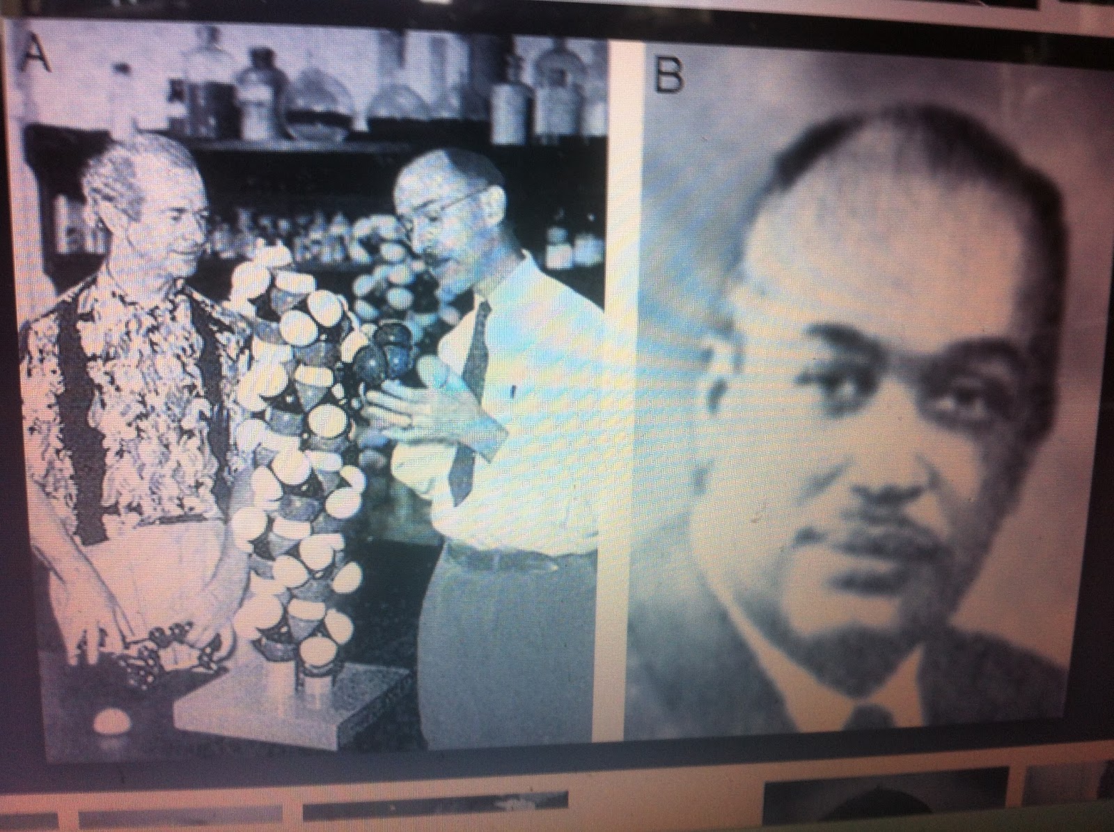 THE BLACK SOCIAL HISTORY:: BLACK SOCIAL HISTORY : AFRICAN AMERICAN ...