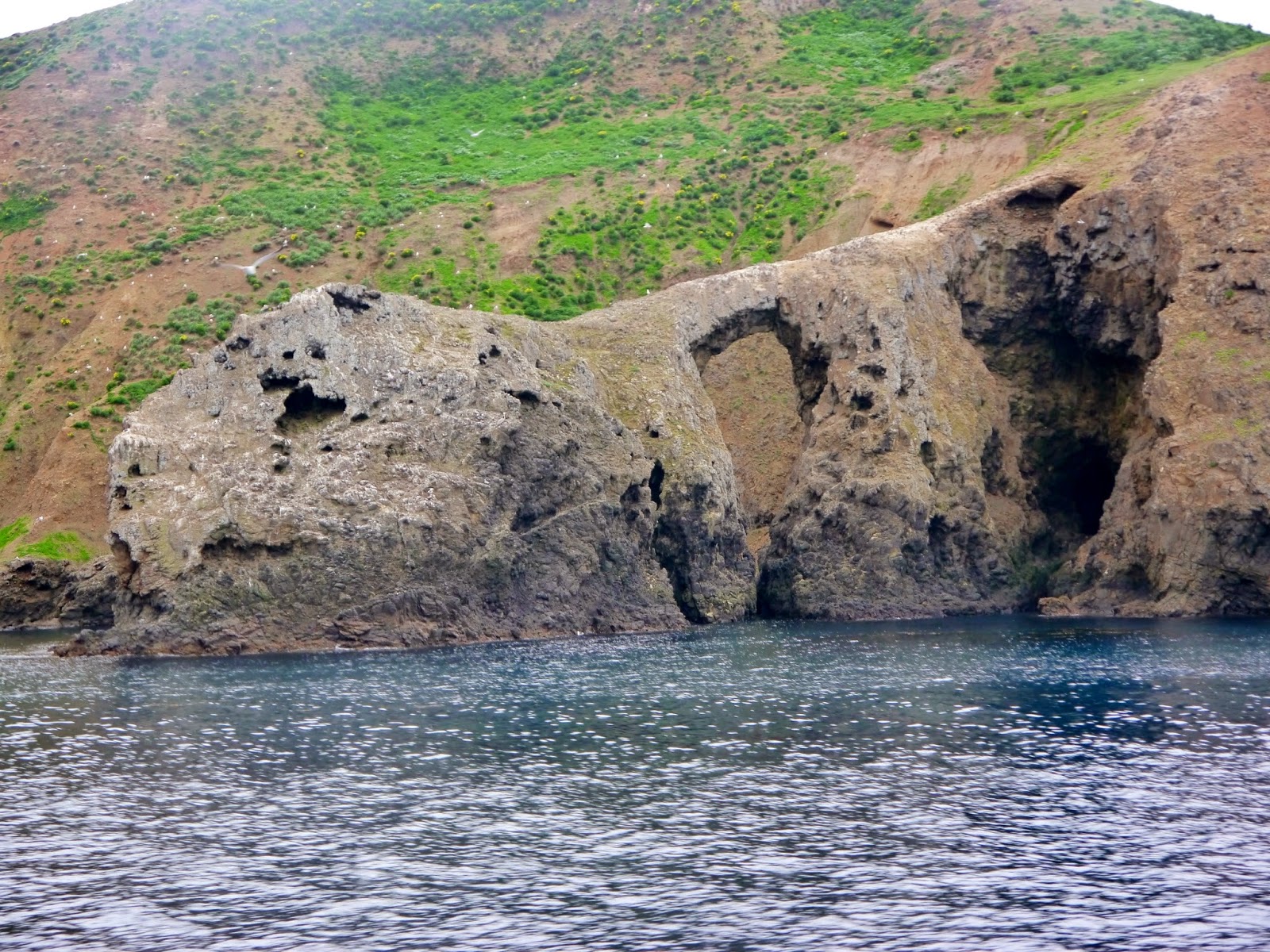 American Travel Journal: Channel Islands National Park - Anacapa Island ...