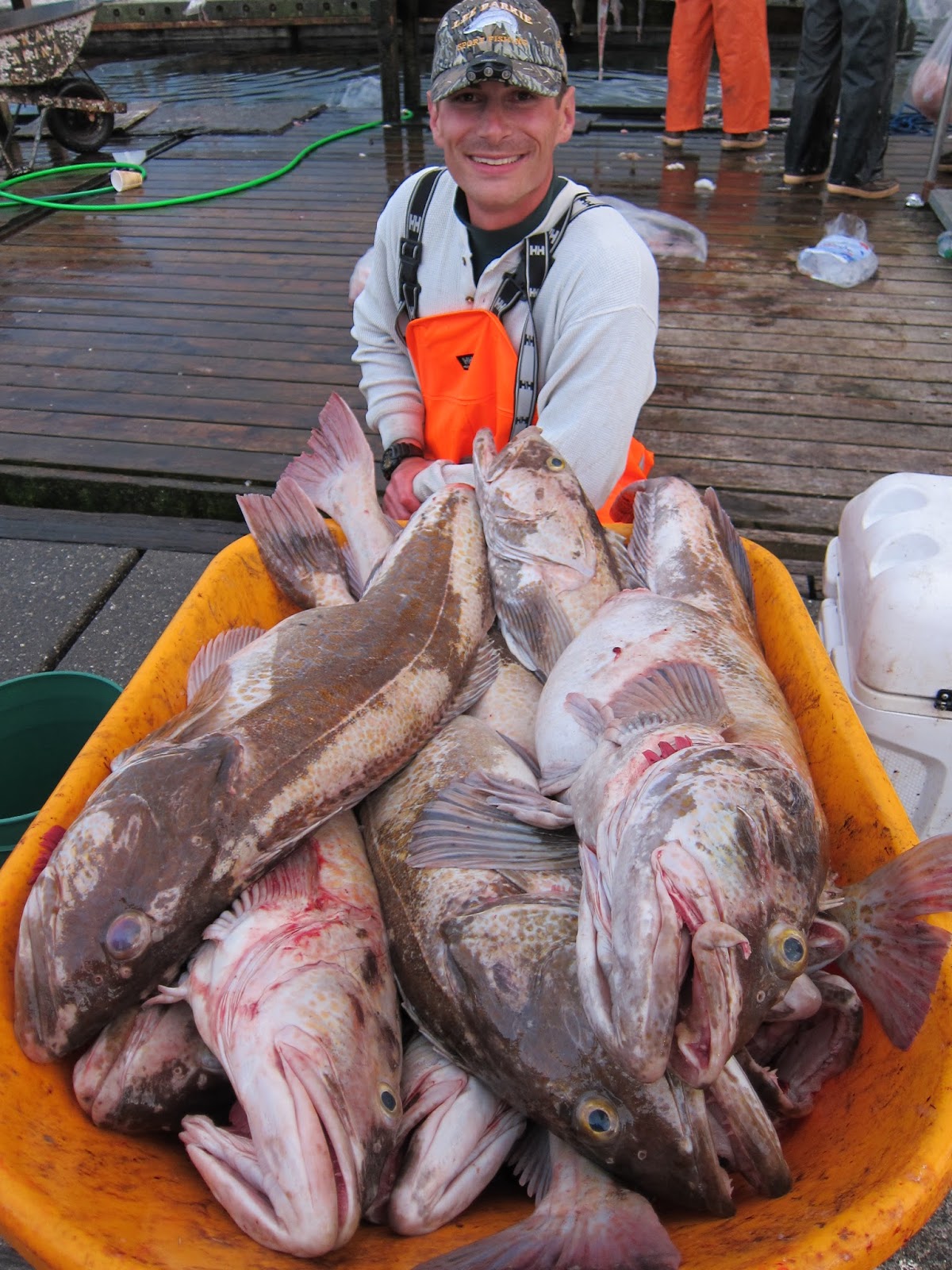 Todds Extreme Fishing: Neah Bay halibut, Lingcod, and bottom fish