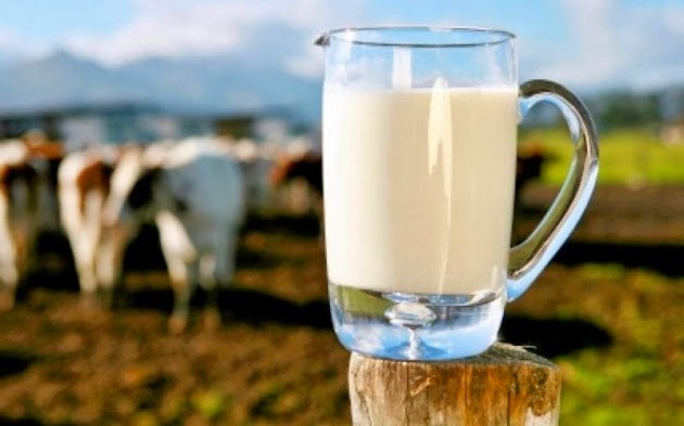 Bitacora de mi Chile: Chile y consumo de Leche