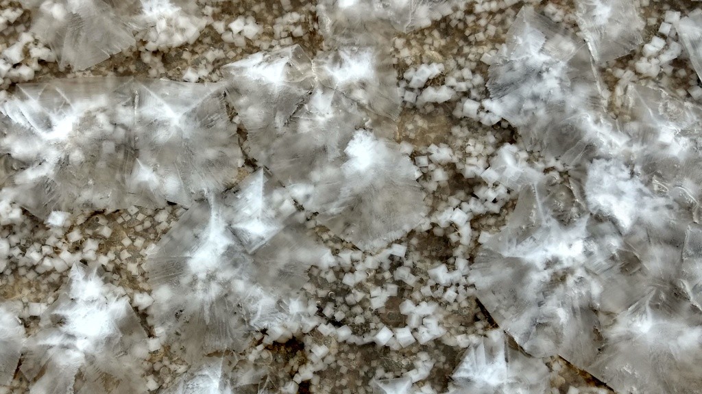 Queensland Coast: Salt Pans of Wunjunga