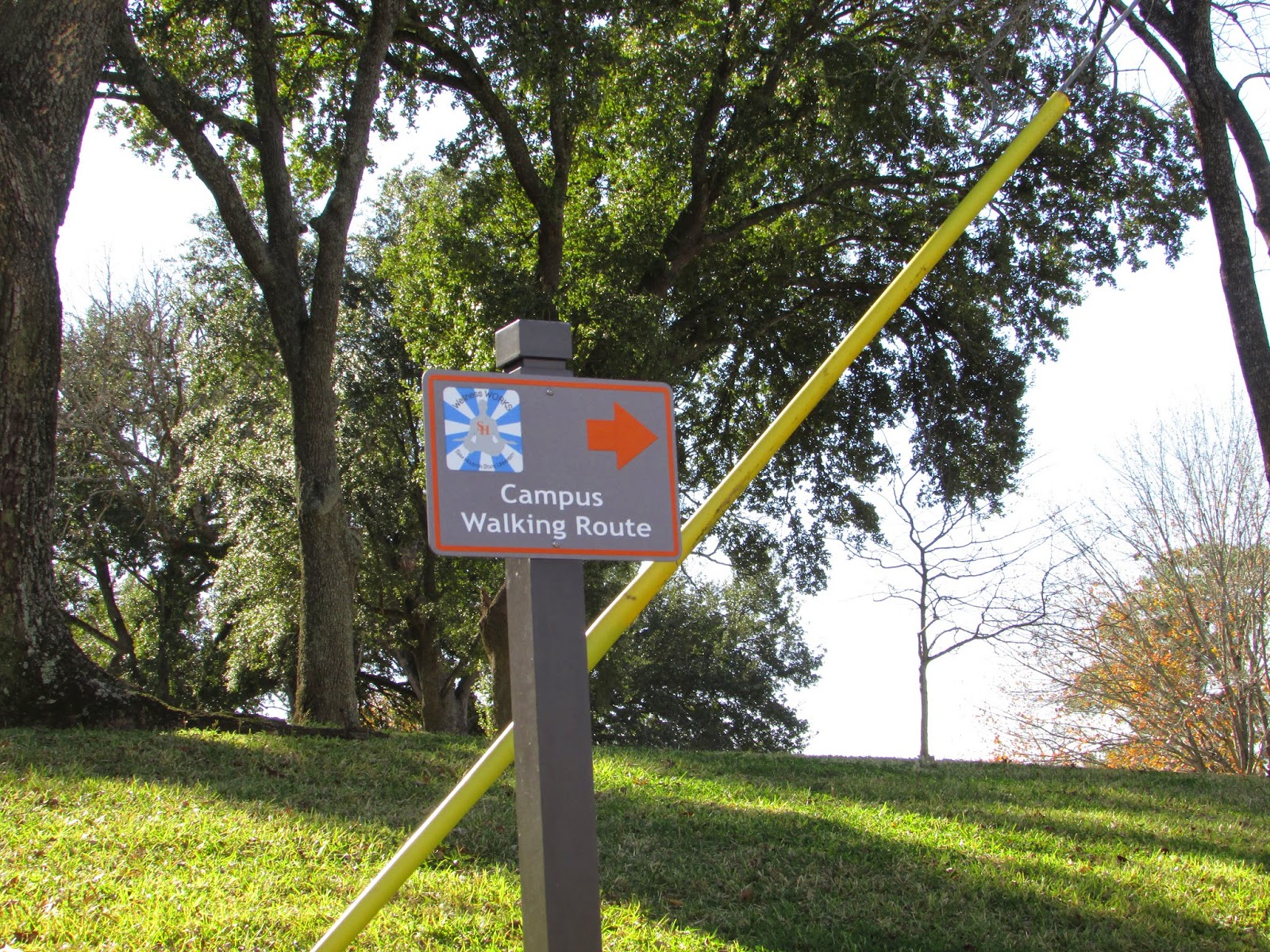 BOTANICAL STUDY on the campus of Sam Houston State University & Museum ...
