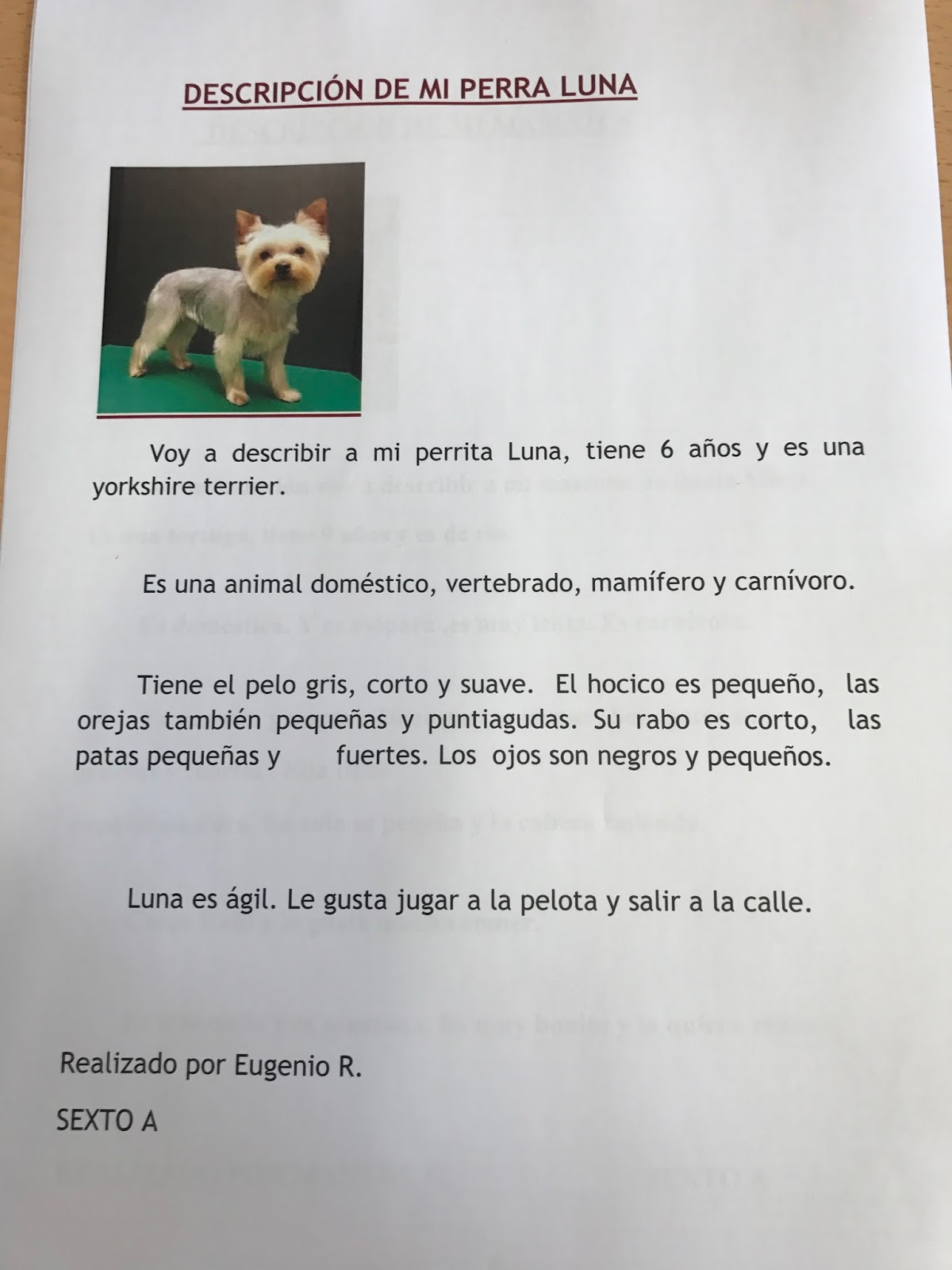 LA VENTANA DE MI CLASE DE TERCERO: DESCRIPCIÓN DE MI MASCOTA
