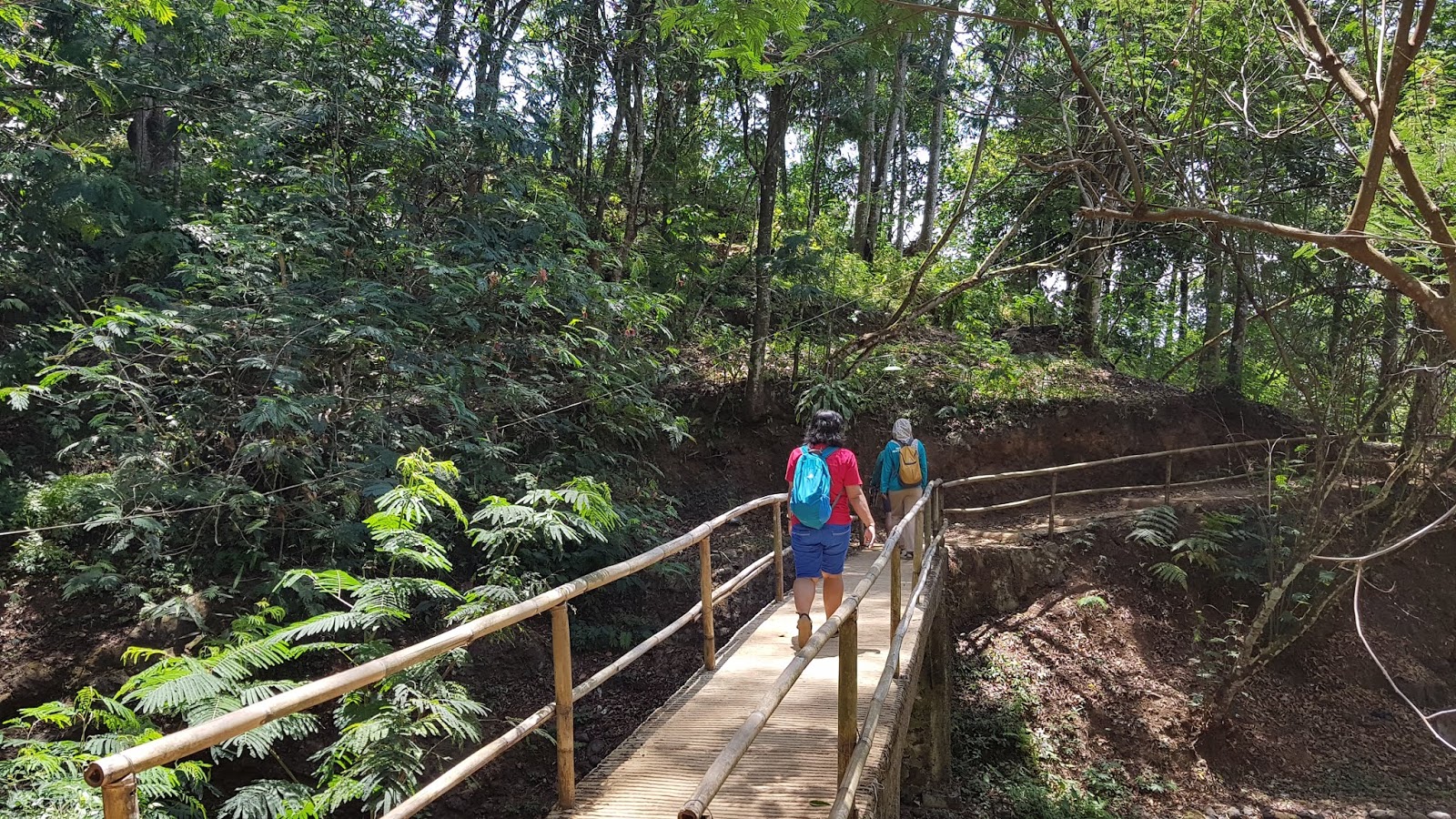Mengunjungi Wana Wisata Capolaga: Curug Goa Gajah, Curug Sawer dan ...