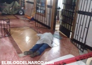 Noticias sobre el narco : MundoNarco.Com