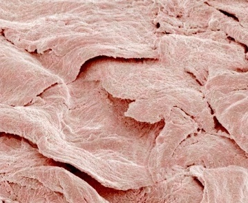 5 motivos para limpar o rosto todos os dias - a pele que habito