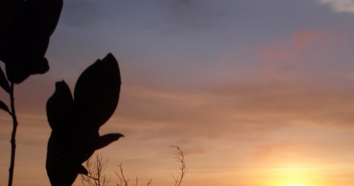 S.O.S Malaysia: GUNUNG BUBU, KUALA KANGSAR - 5437 ft