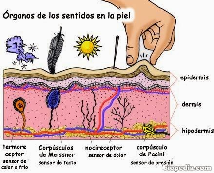abril 2015 ~ Con-CIENCIA