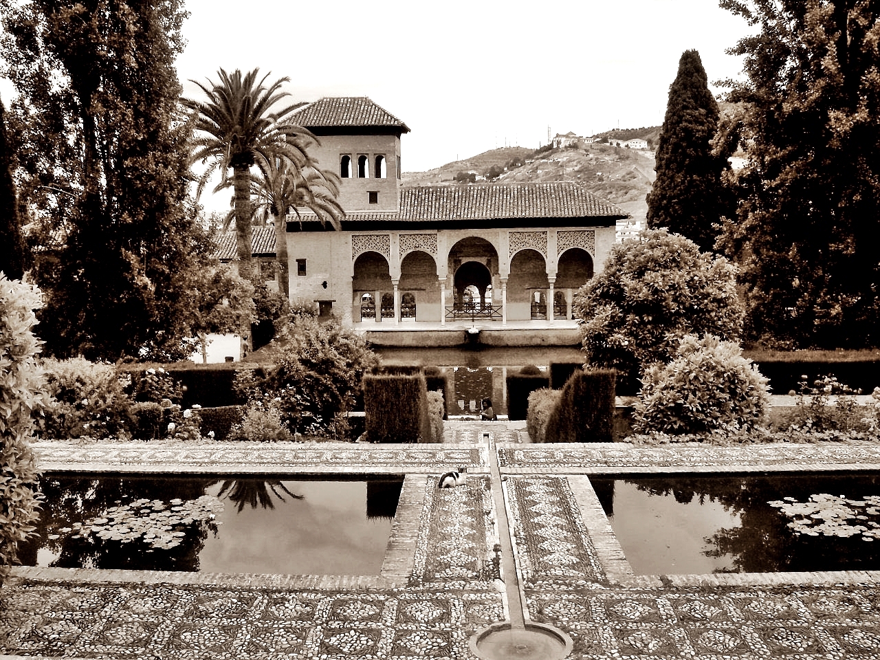 La mirada sepia: interpretaciones de la Alhambra: El Partal