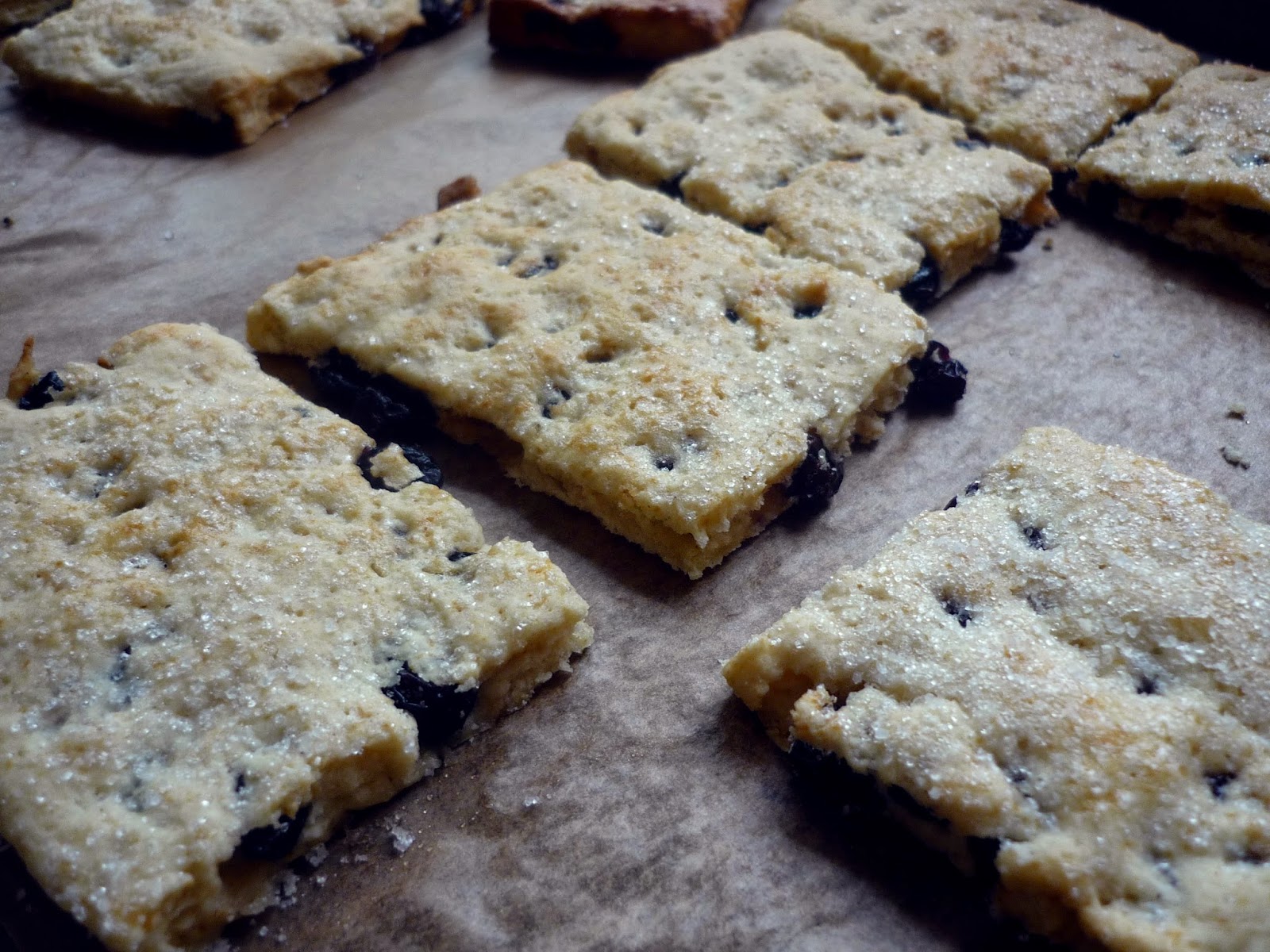 Sarah Kathleen: How to make Garibaldi biscuits!