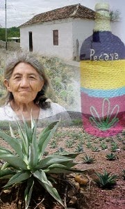 Venezuelan Gastronomy: The Cocuy an iconic drink of the Venezuelan ...