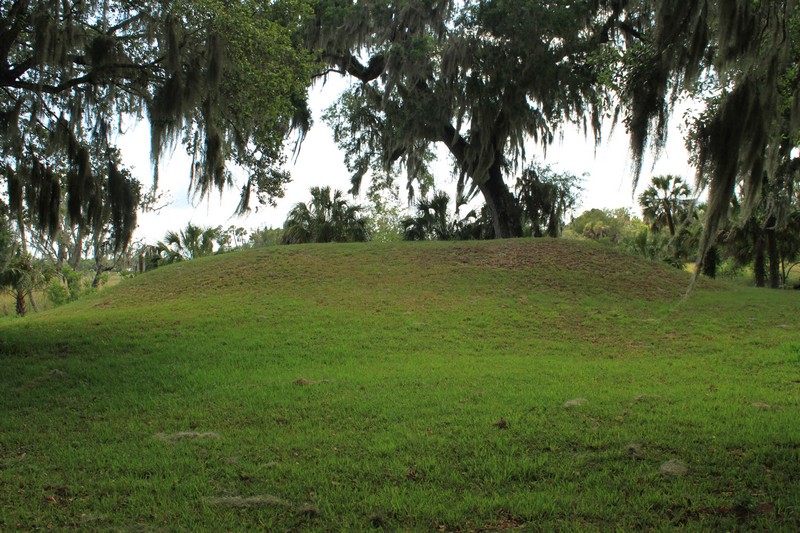 Til the Last Hemlock Dies: Saved From Certain Destruction