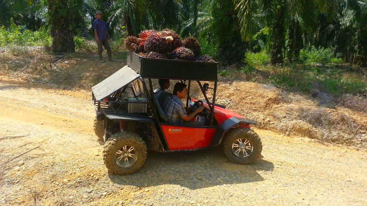 Fin Komodo mampu mengangkut 20 TBS Kelapa Sawit | Fin Komodo Offroad