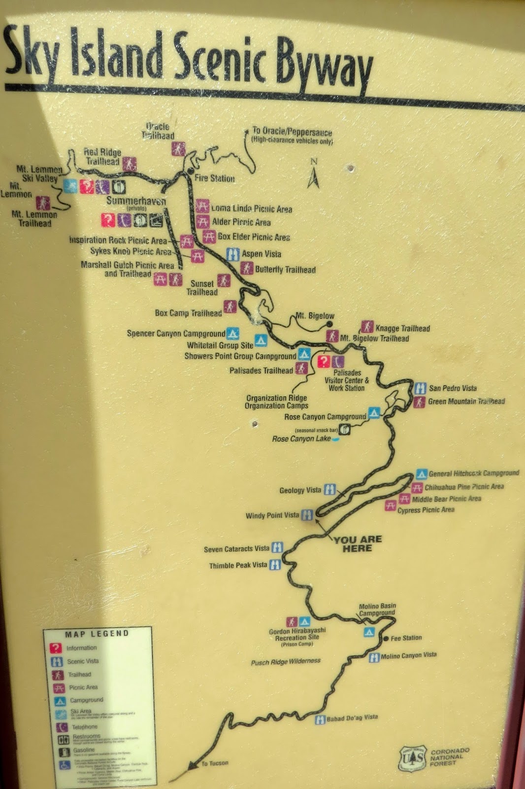 Where's Liz? 2014: Sky Island Scenic Byway, Mt. Lemmon, Tucson, AZ